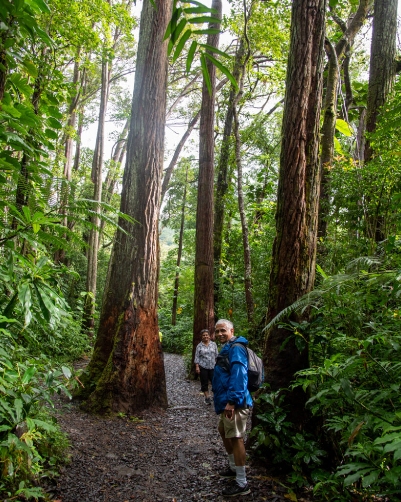 Oahu, Hawaii: Rainforests, Beaches, and Breathtaking Views | Nuts for Naan